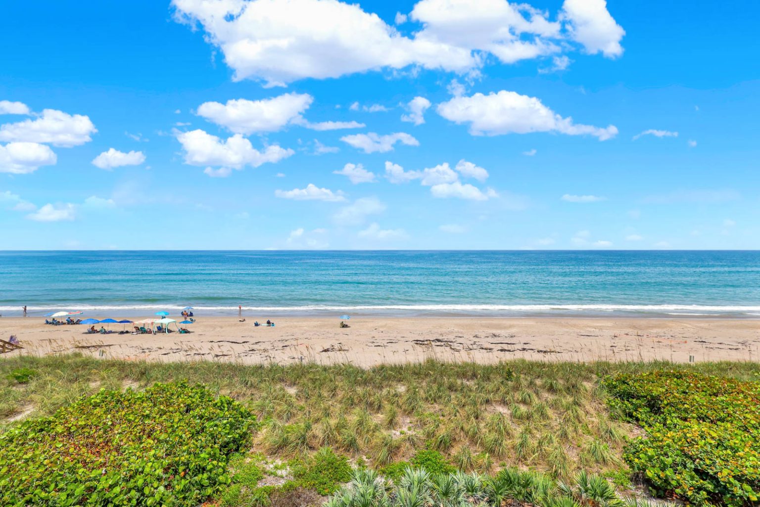 Ocean Towers B *305 - Beach Front Mann Realty